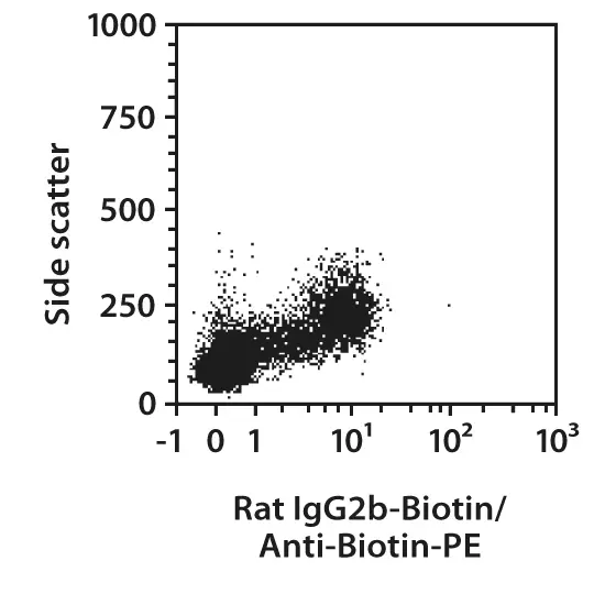 CD11b Antibody, anti-human/mouse | Miltenyi Biotec | USA