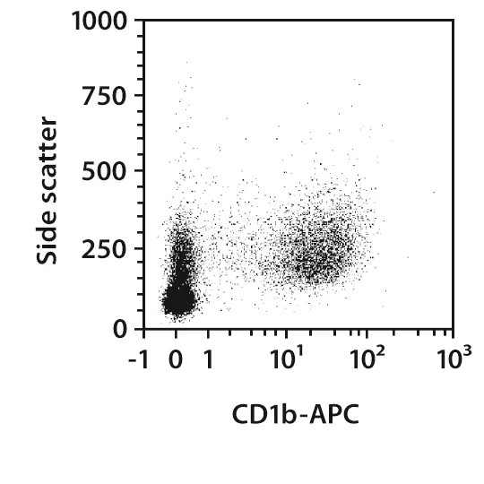 CD1b Antibody, anti-human | Miltenyi Biotec | USA