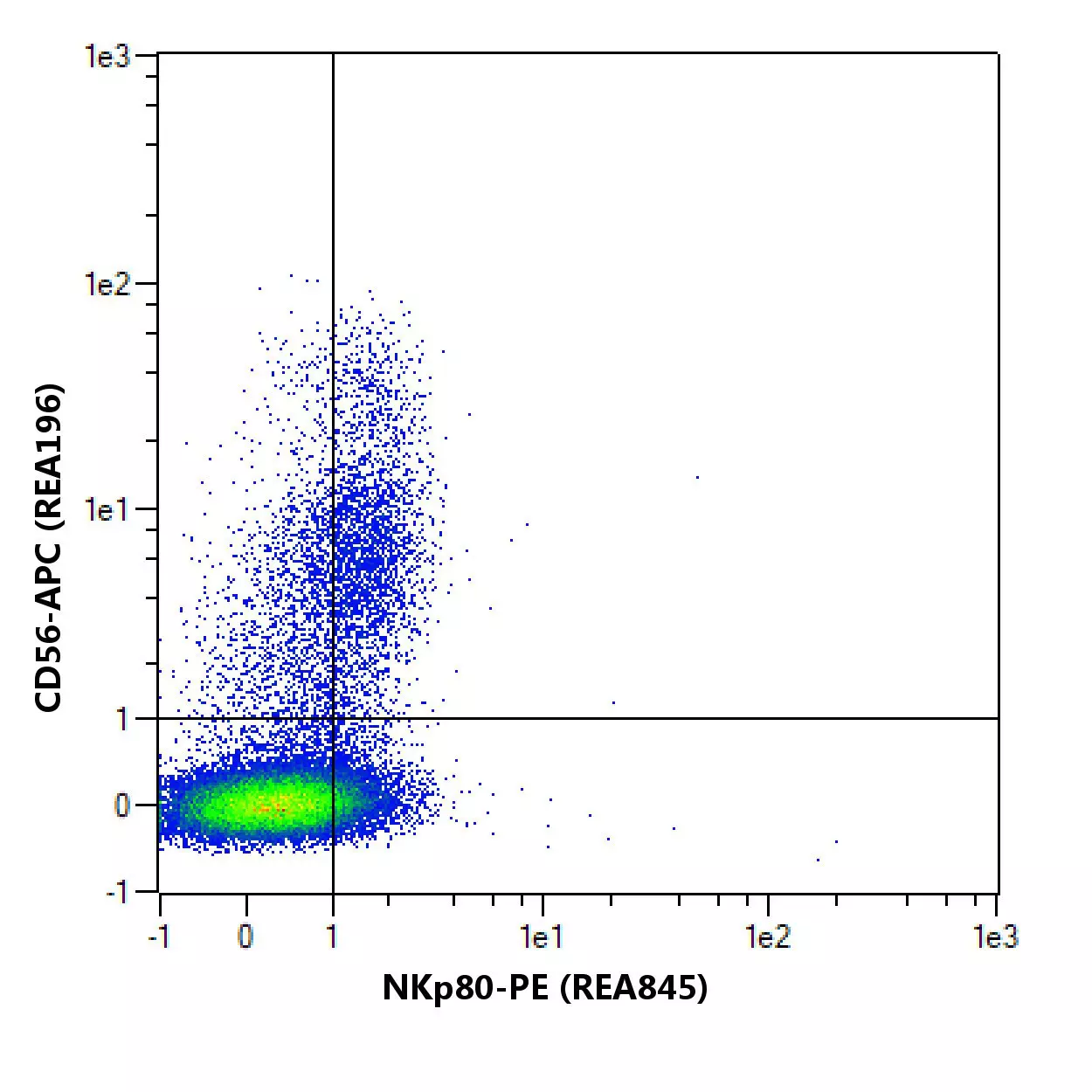 NKp80 Antibody, anti-human, REAfinity™ | Miltenyi Biotec | India