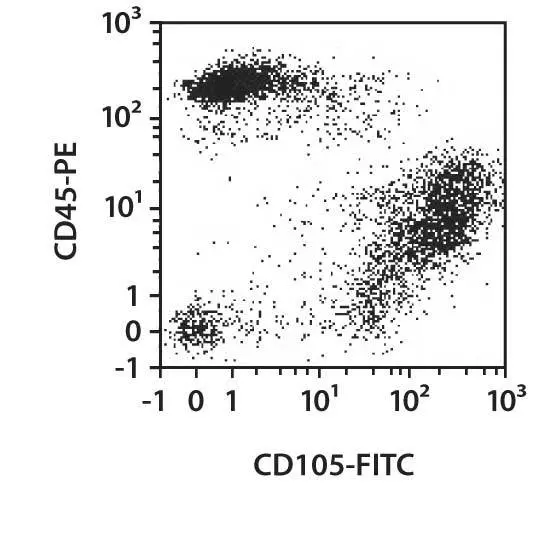 CD105 Antibody, anti-human | Miltenyi Biotec | USA