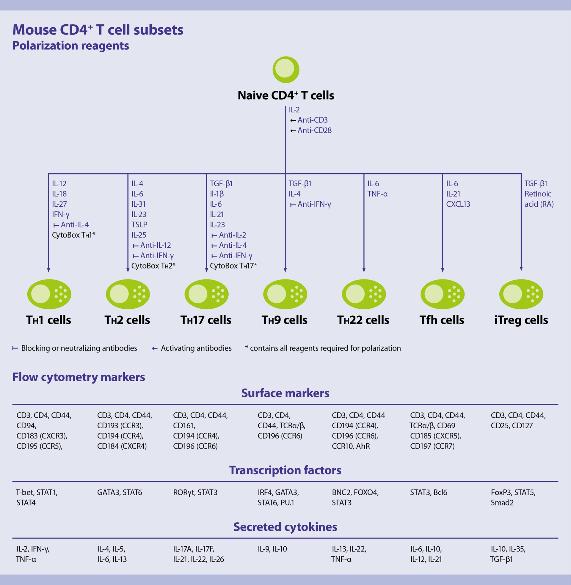 CD4+ T cells (mouse) | Miltenyi Biotec | Deutschland