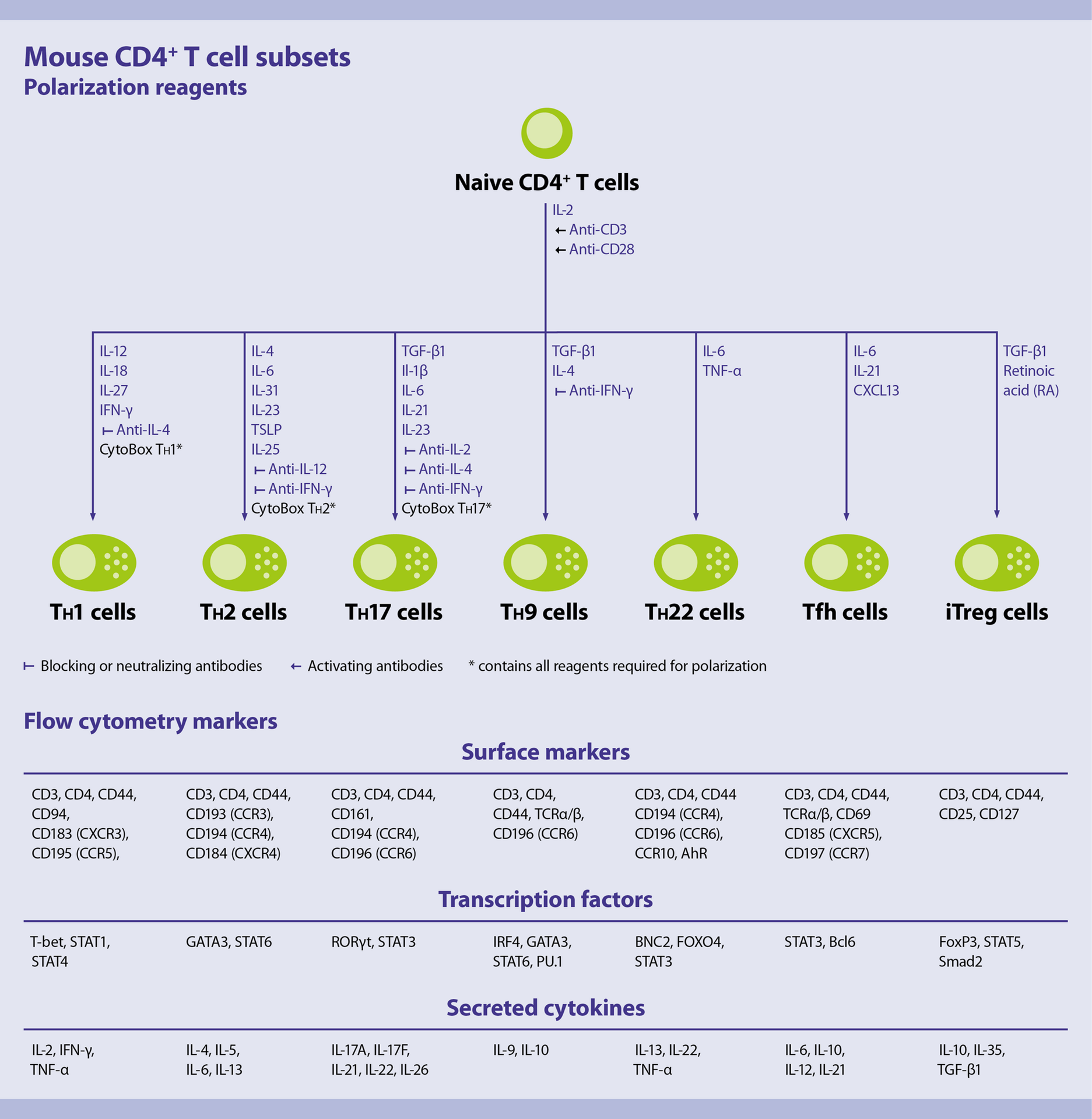 CD4+ T cells (mouse) | Miltenyi Biotec | Canada