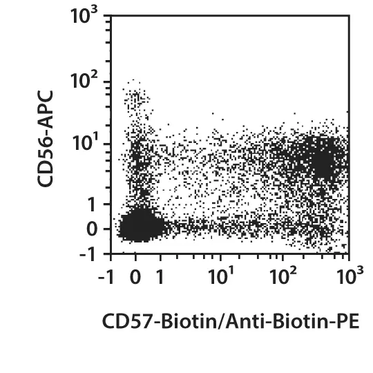CD57 Antibody, anti-human | Miltenyi Biotec | USA