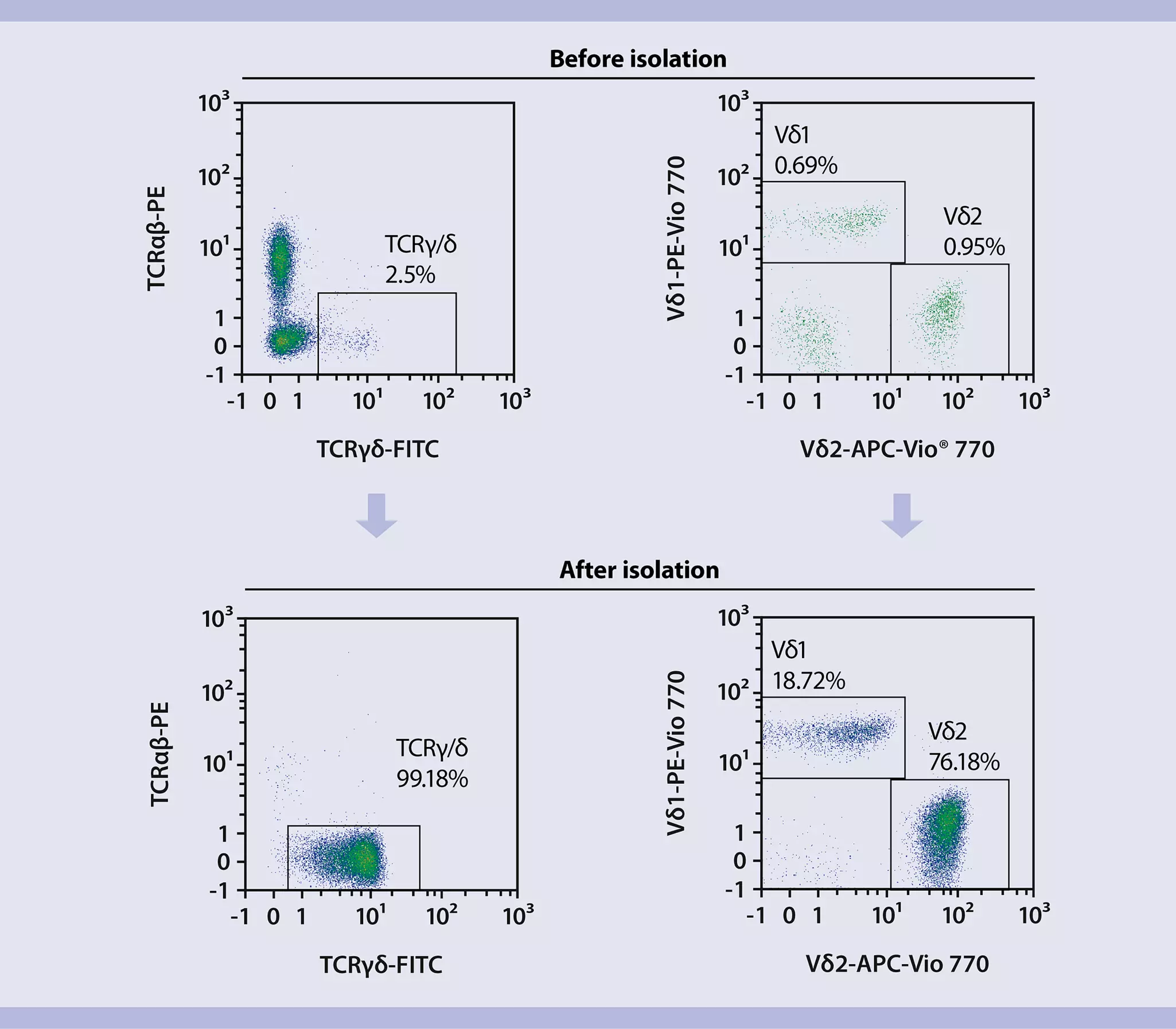 Gamma delta T cells | Research solutions | Miltenyi Biotec | USA