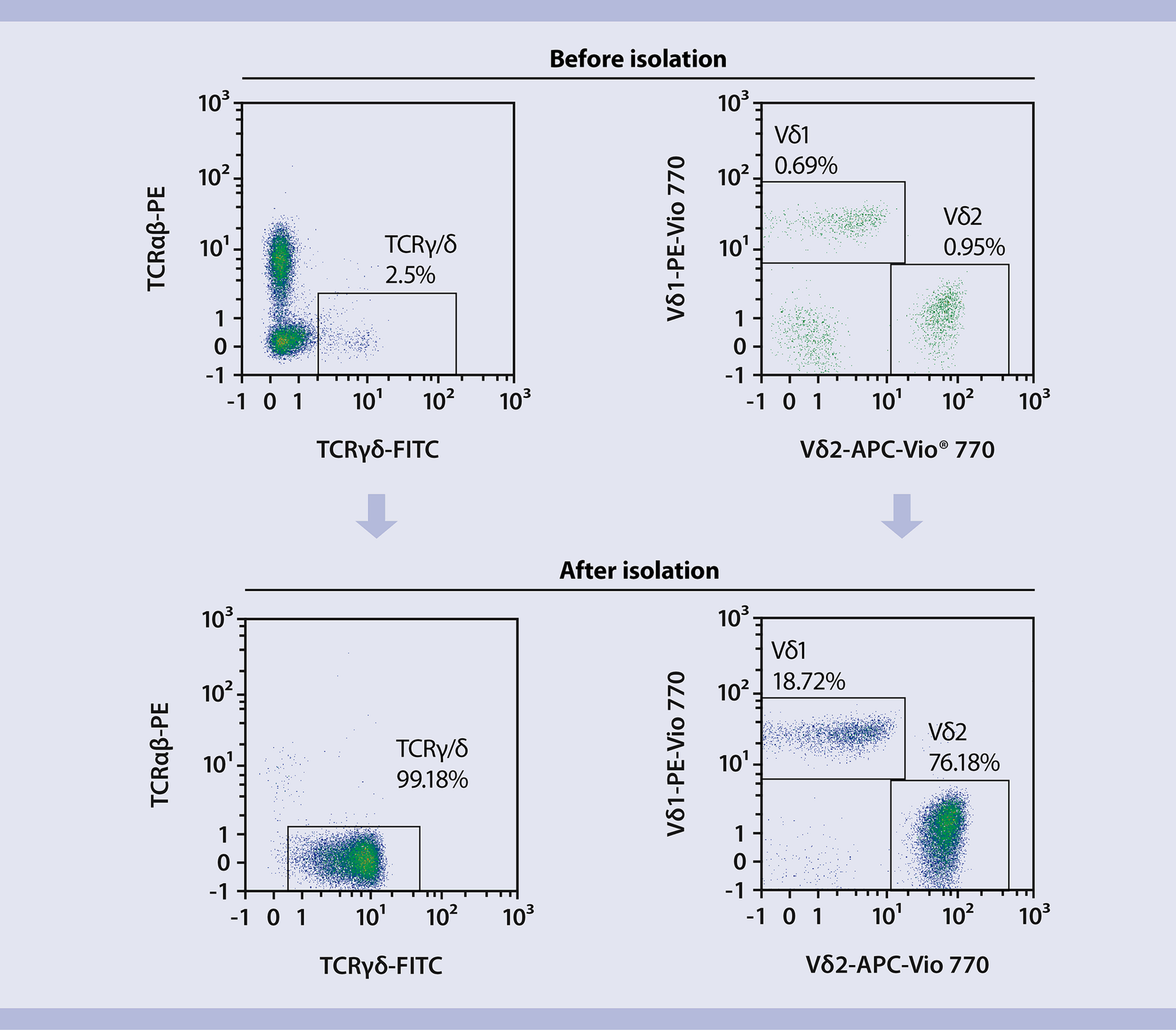 Gamma delta T cells | Research solutions | Miltenyi Biotec | Italia