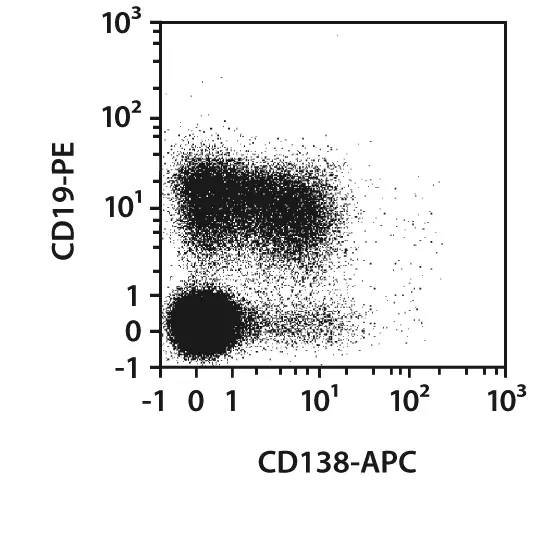 CD138 Antibody, anti-mouse, REAfinity™ | Miltenyi Biotec | USA