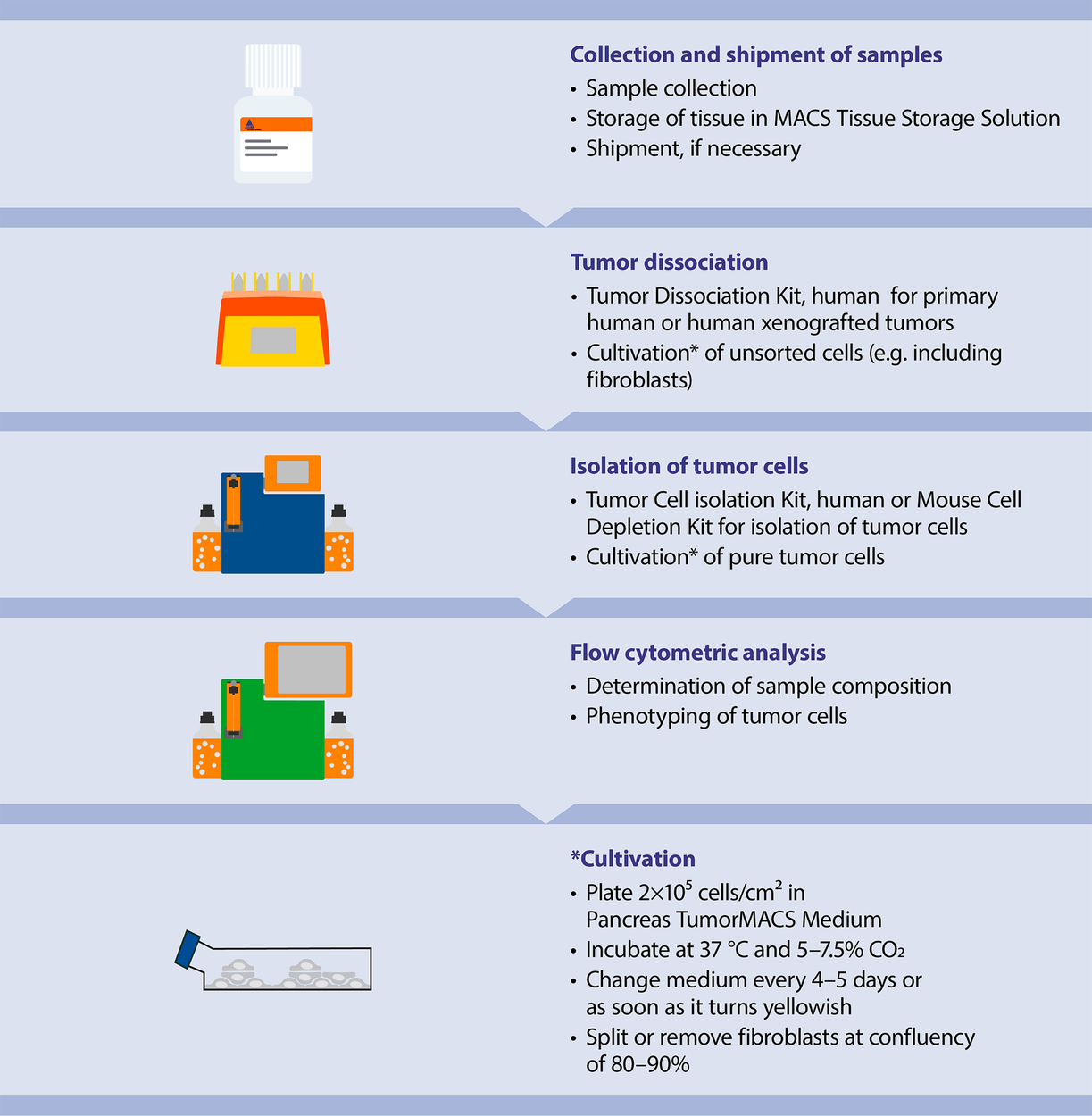 Initiation of human tumor cell culture from primary tumors | Miltenyi ...