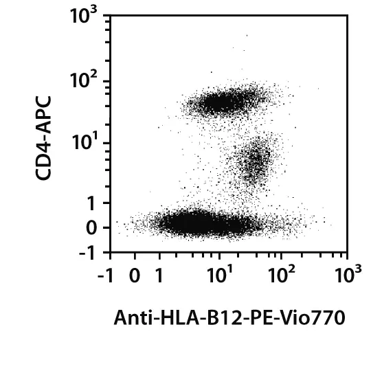 HLA-B12 Antibody, anti-human, REAfinity™ | Miltenyi Biotec | USA