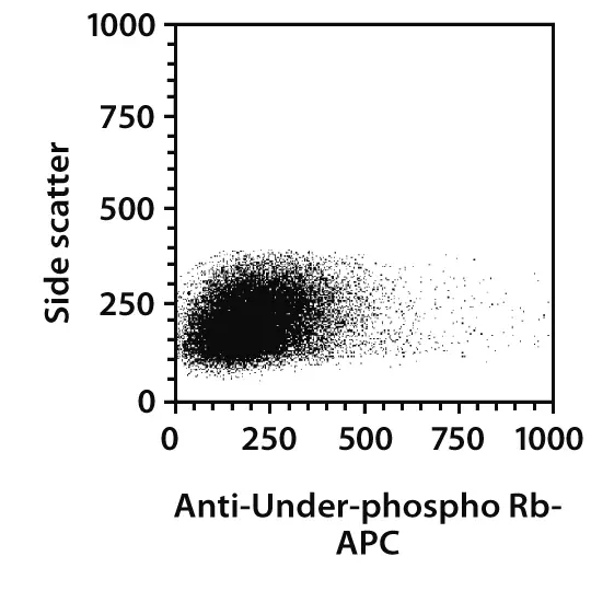 Under-phospho Rb Antibody, anti-human, REAfinity™ | Miltenyi Biotec | USA