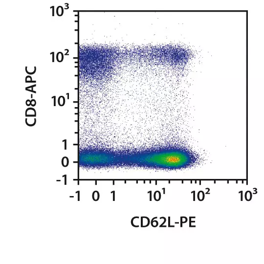 MACS® GMP CD62L Fluorescent Antibodies | Miltenyi Biotec | Australia