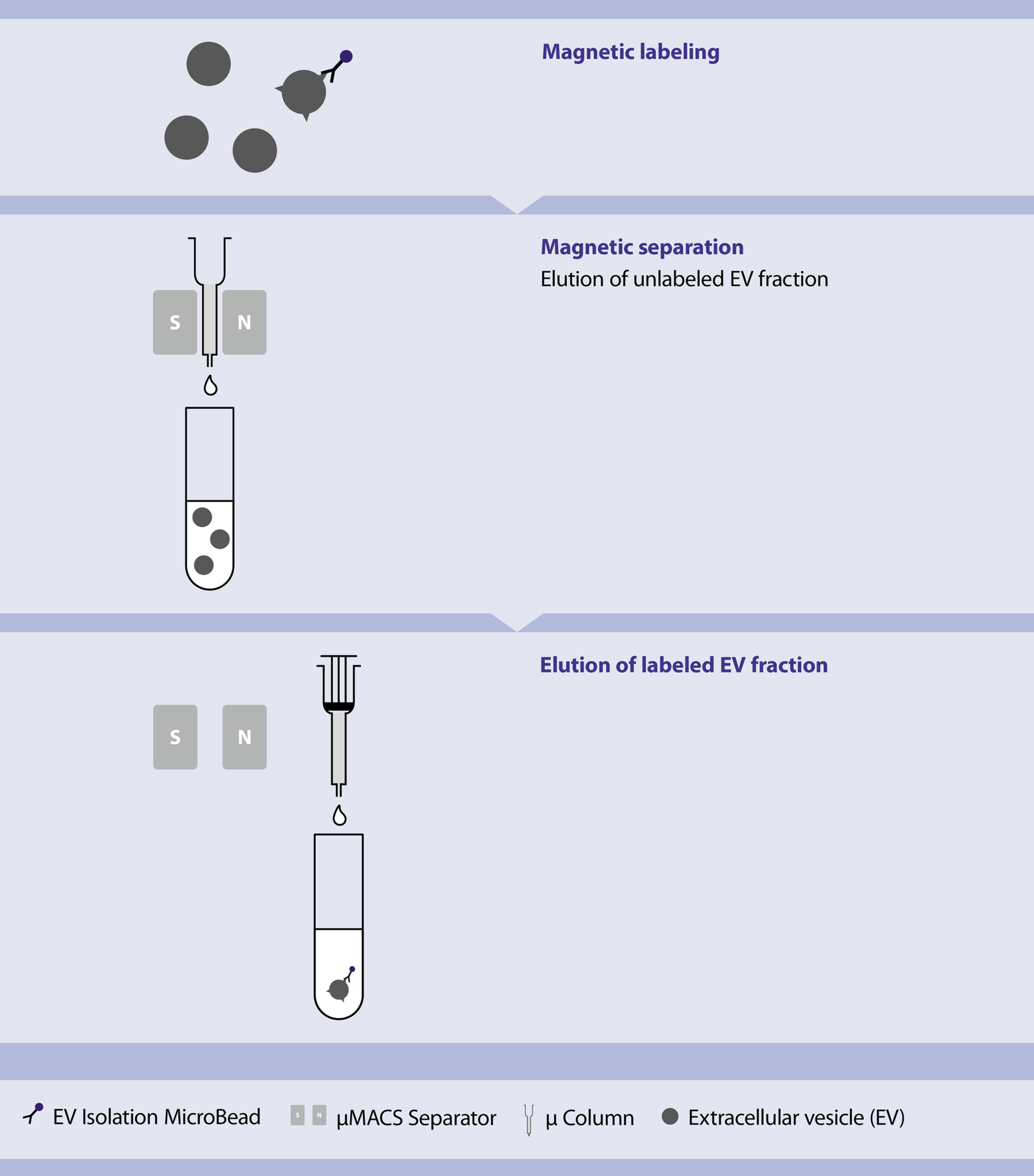 Exosome isolation and analysis | Miltenyi Biotec | USA