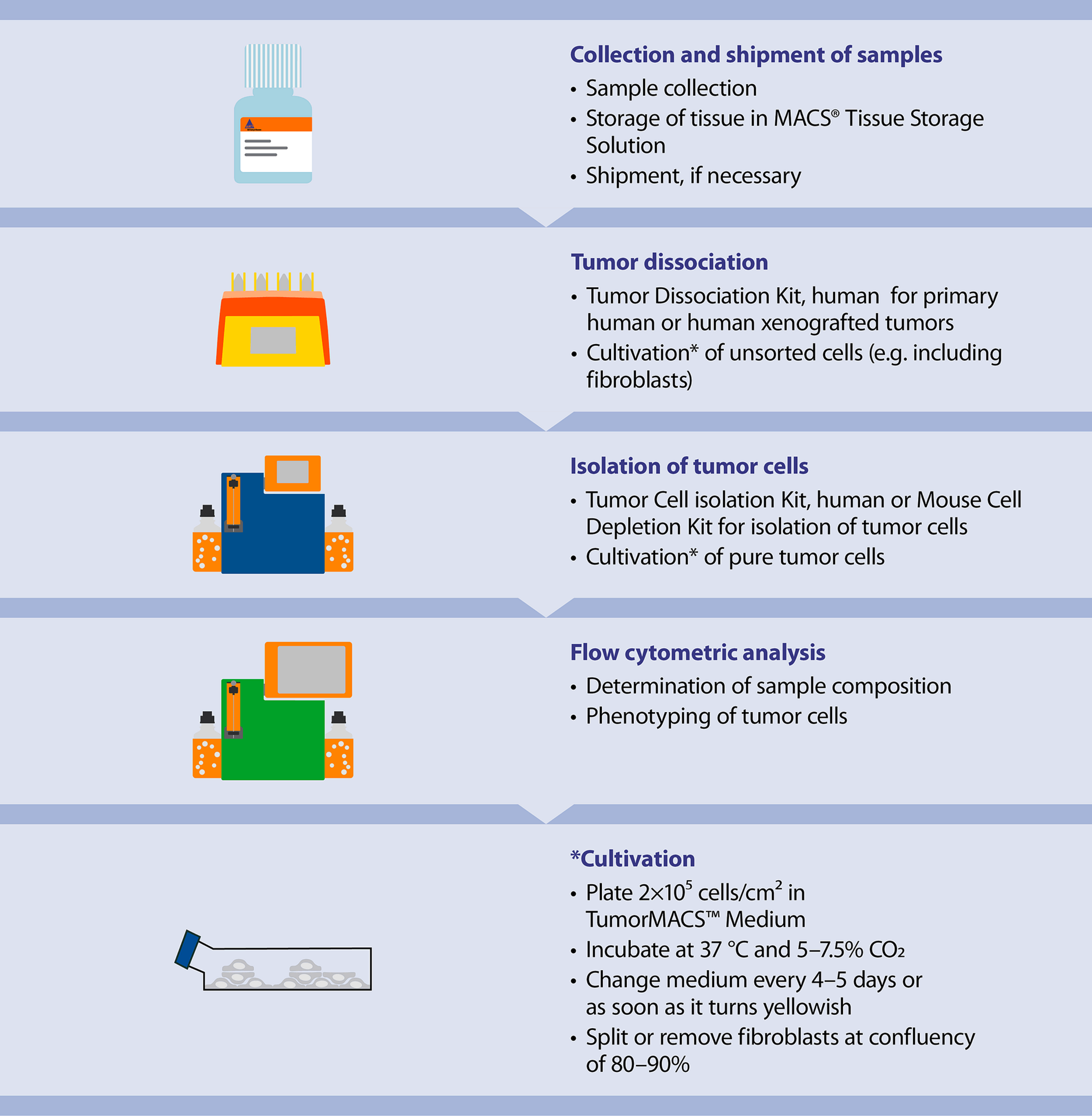 Cancer Cell Culture | Primary Tumor Cell Culture | Miltenyi Biotec | USA Cancer Cell Culture | Primary Tumor Cell Culture | Miltenyi Biotec | USA