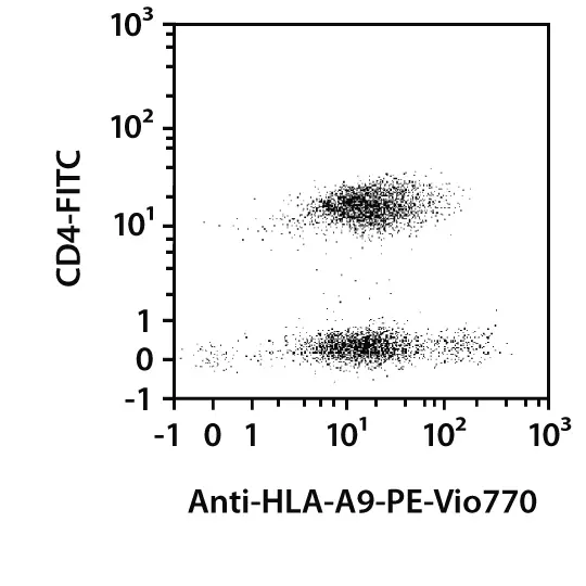 HLA-A9 Antibody, anti-human, REAfinity™ | Miltenyi Biotec | USA