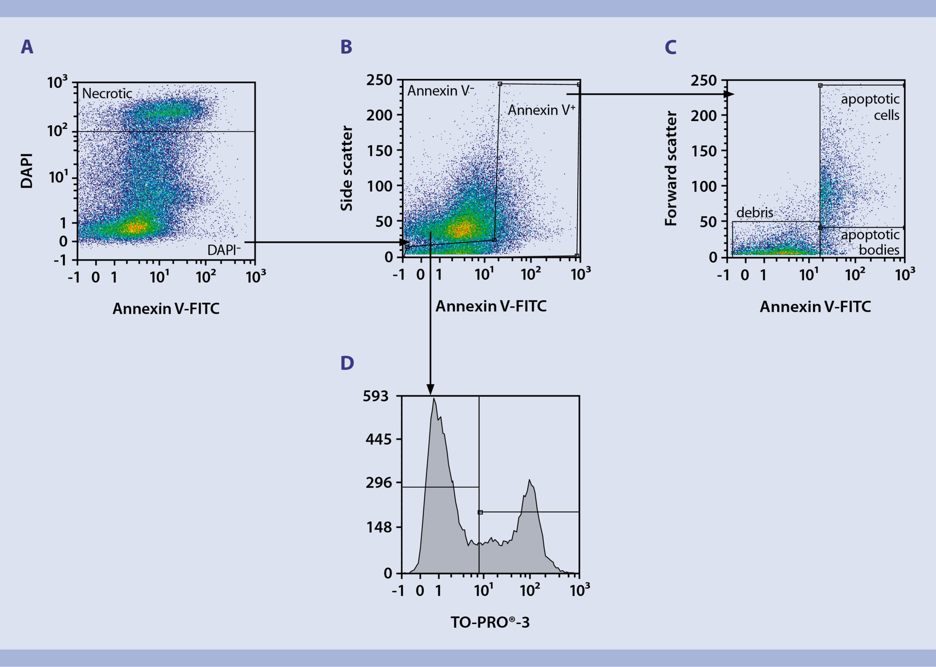 Cytotoxicity testing | Apoptosis detection | Miltenyi | Miltenyi Biotec ...