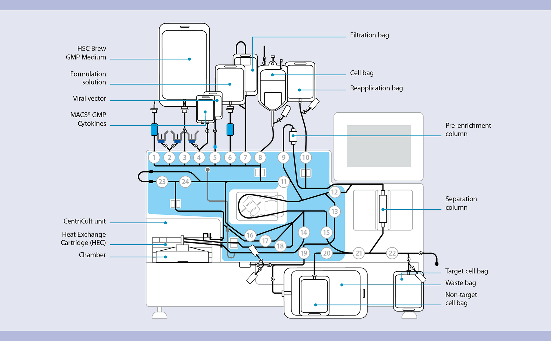genetic engineering of hematopoietic stem cells | Miltenyi Biotec ...