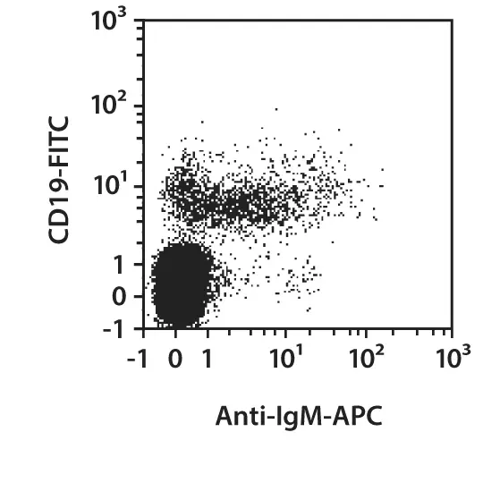 IgM Antibody, anti-human | Miltenyi Biotec | Great Britain