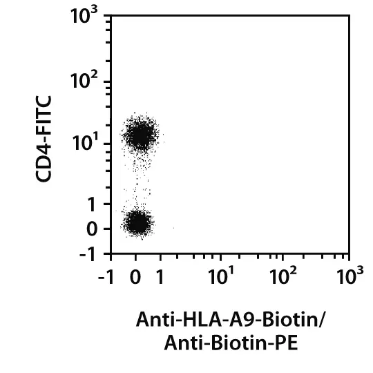 HLA-A9 Antibody, anti-human, REAfinity™ | Miltenyi Biotec | USA