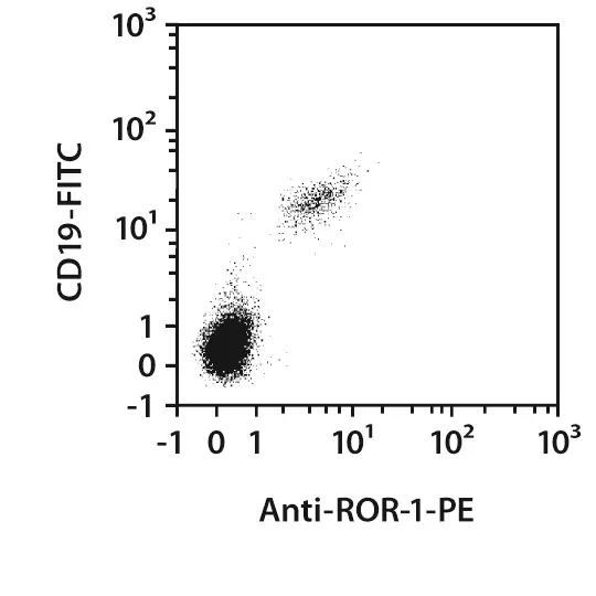ROR1 Antibody, anti-human | Miltenyi Biotec | Great Britain