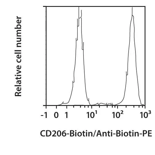 CD206 Antibody, anti-human | Miltenyi Biotec | USA
