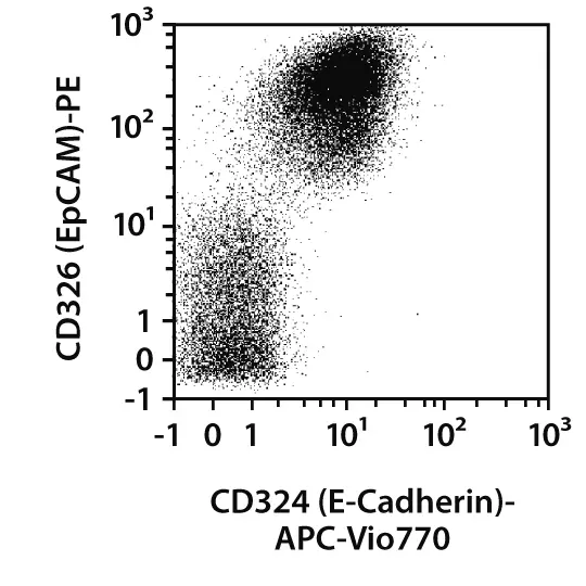 CD324 (E-Cadherin) Antibody, anti-human | Miltenyi Biotec | France