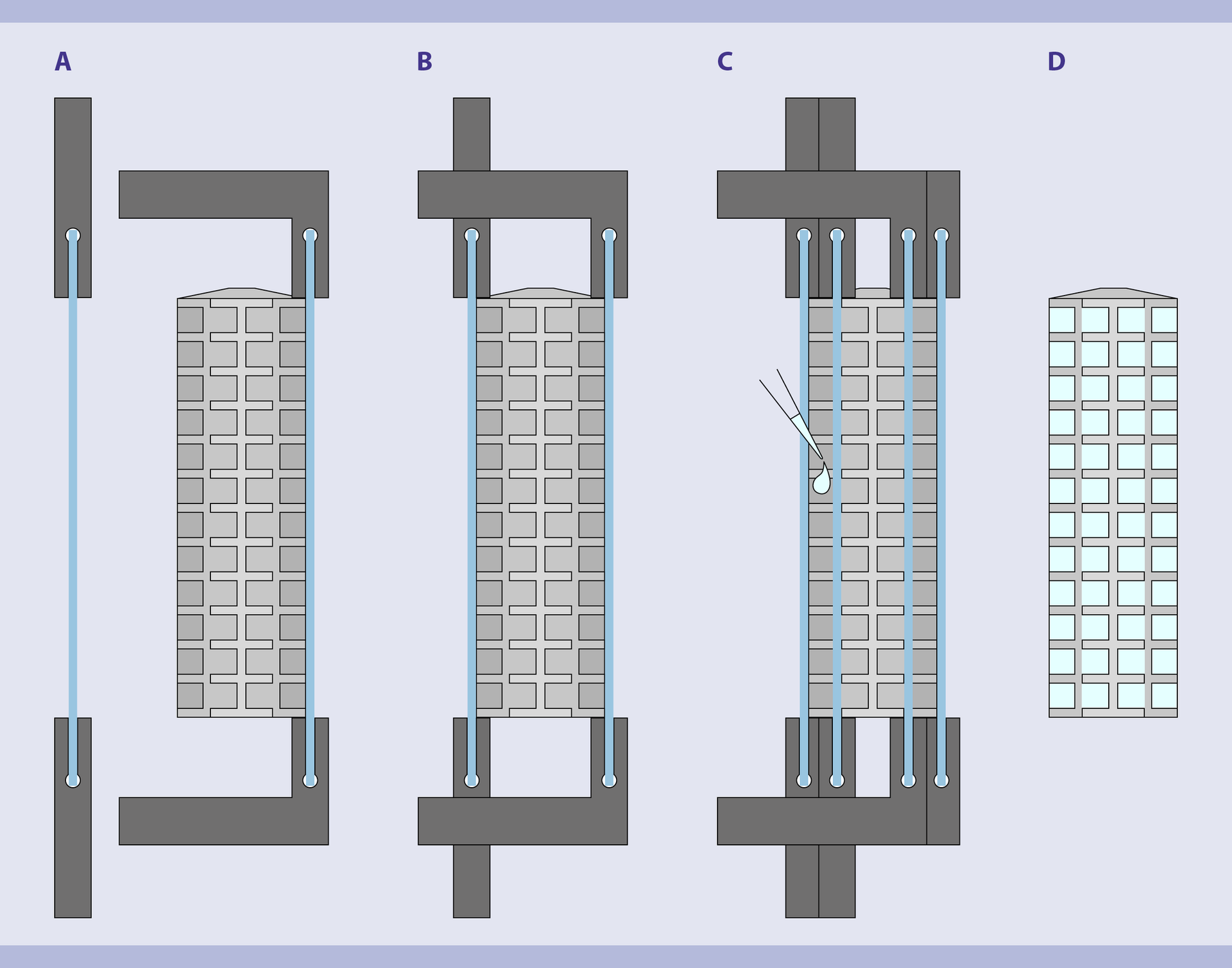Immunostaining and clearing | Sample holder | Imaging | Miltenyi Biotec ...