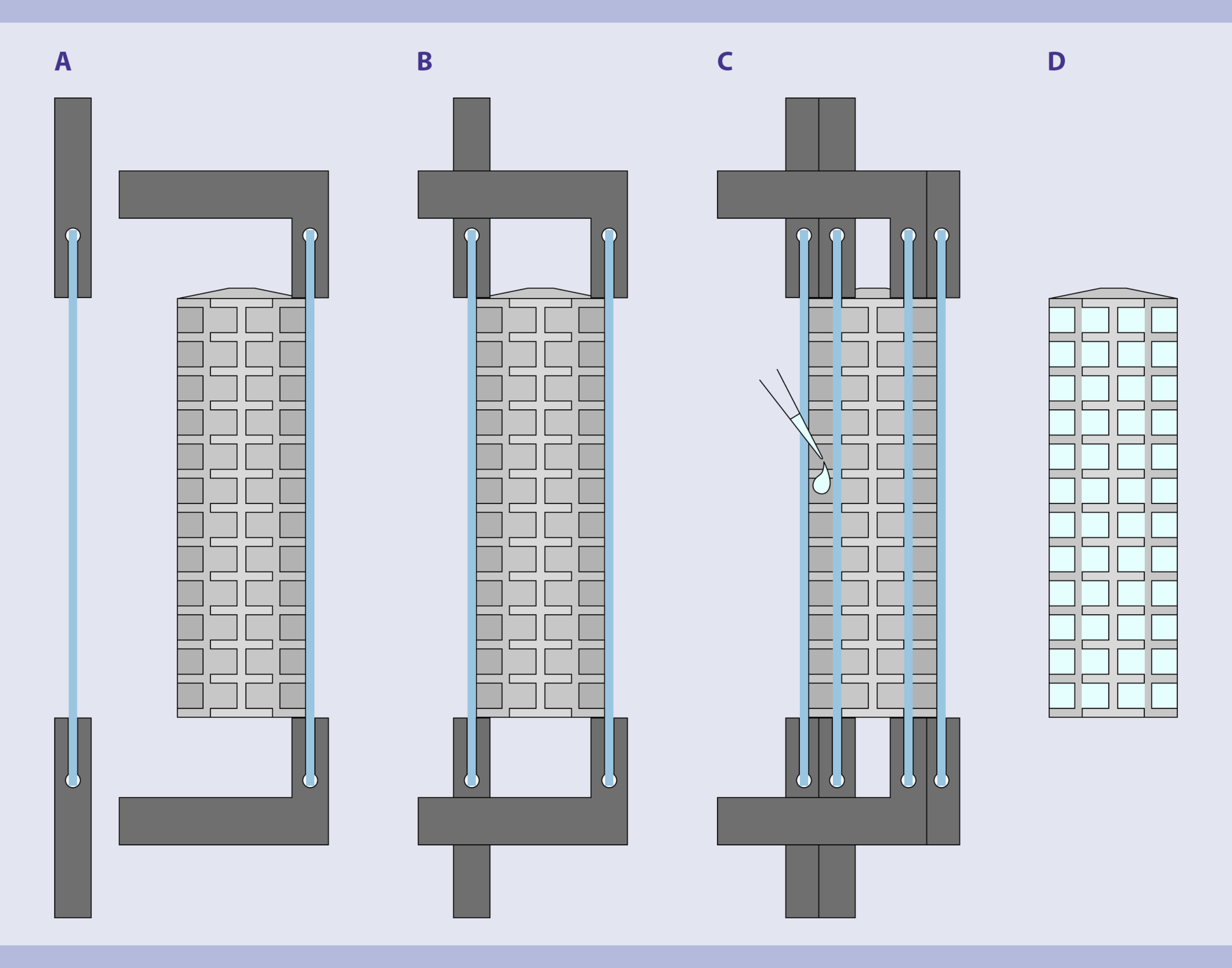 Immunostaining and clearing | Sample holder | Imaging | Miltenyi Biotec ...