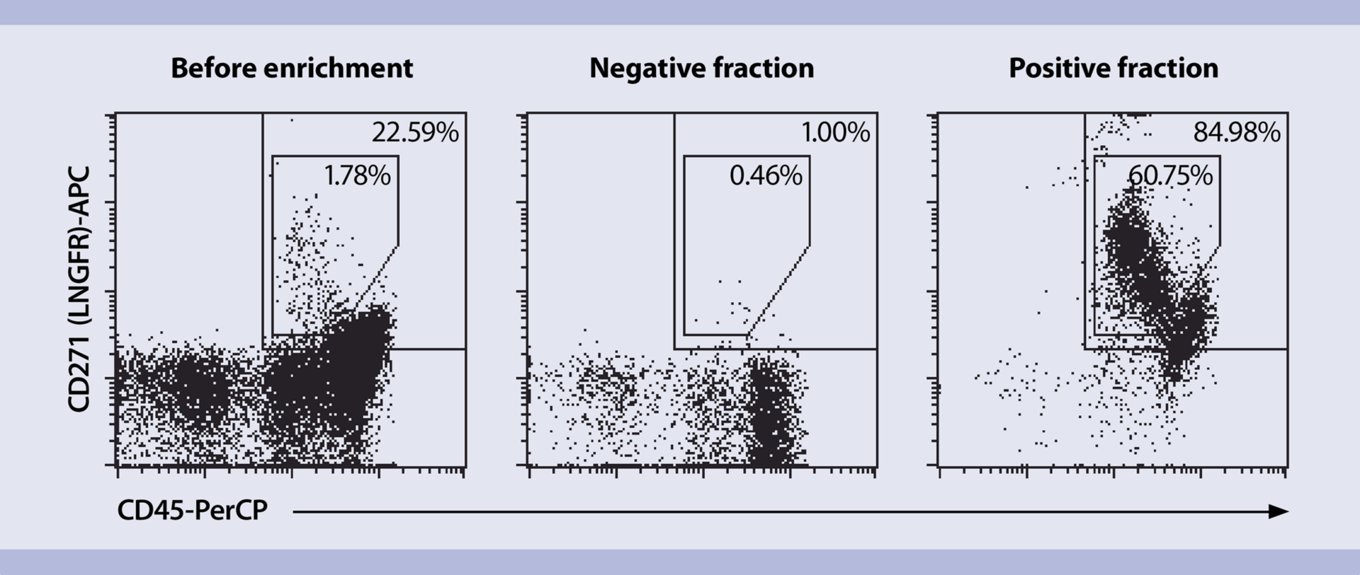 Bone marrow mesenchymal stem cells | Miltenyi Biotec | Deutschland