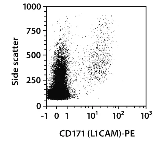 CD171 (L1CAM) Antibody, anti-human, REAfinity™ | Miltenyi Biotec | USA
