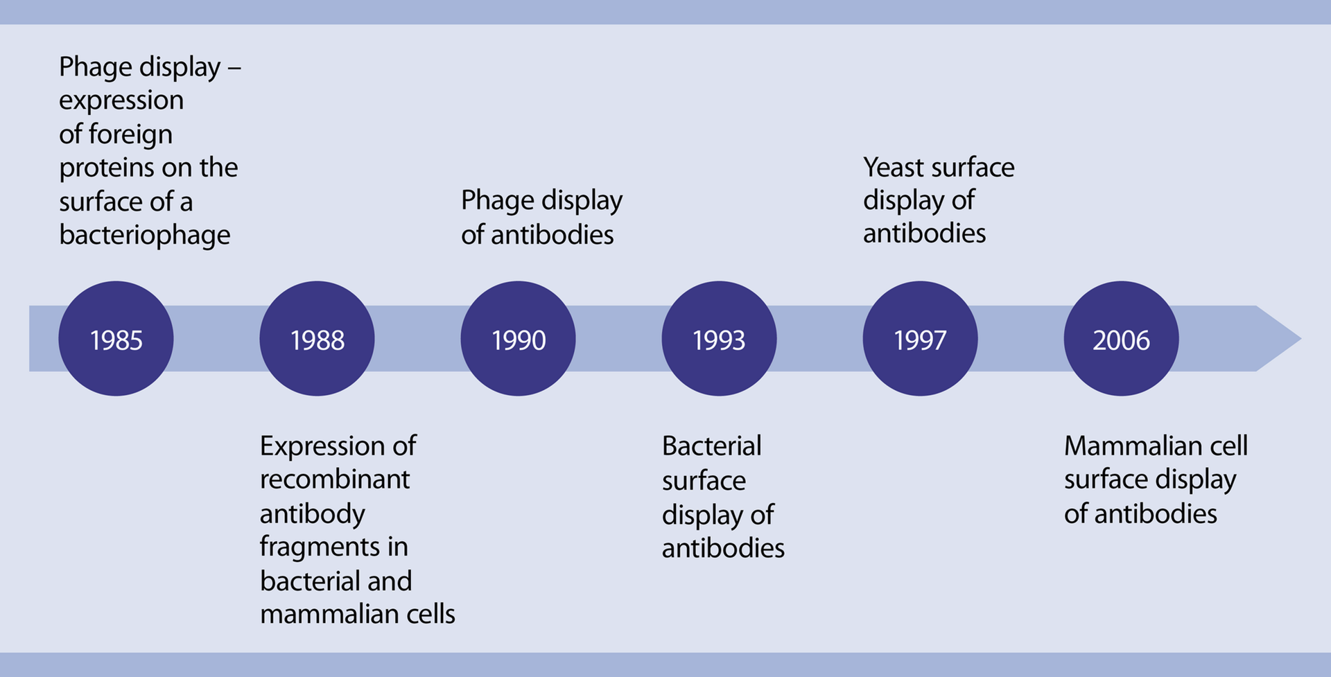 Antibody structure and their use in flow cytometry | Miltenyi Biotec ...