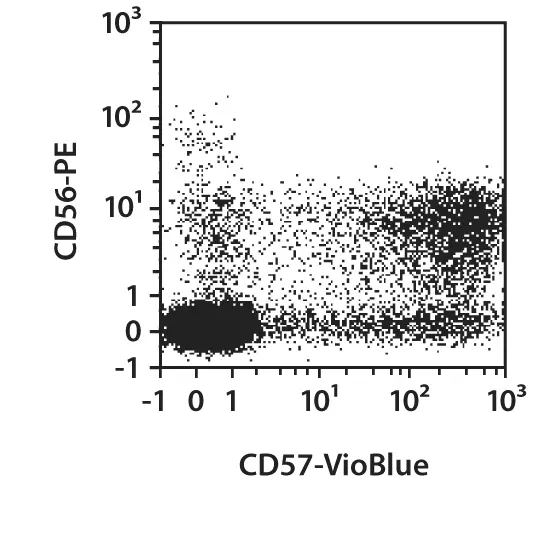 CD57 Antibody, anti-human | Miltenyi Biotec | 대한민국