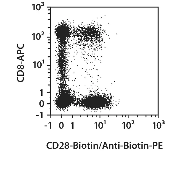CD28 Antibody, anti-human | Miltenyi Biotec | USA
