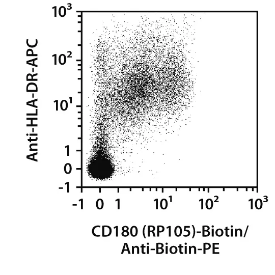CD180 (RP105) Antibody, anti-human, REAfinity™ | Miltenyi Biotec | USA
