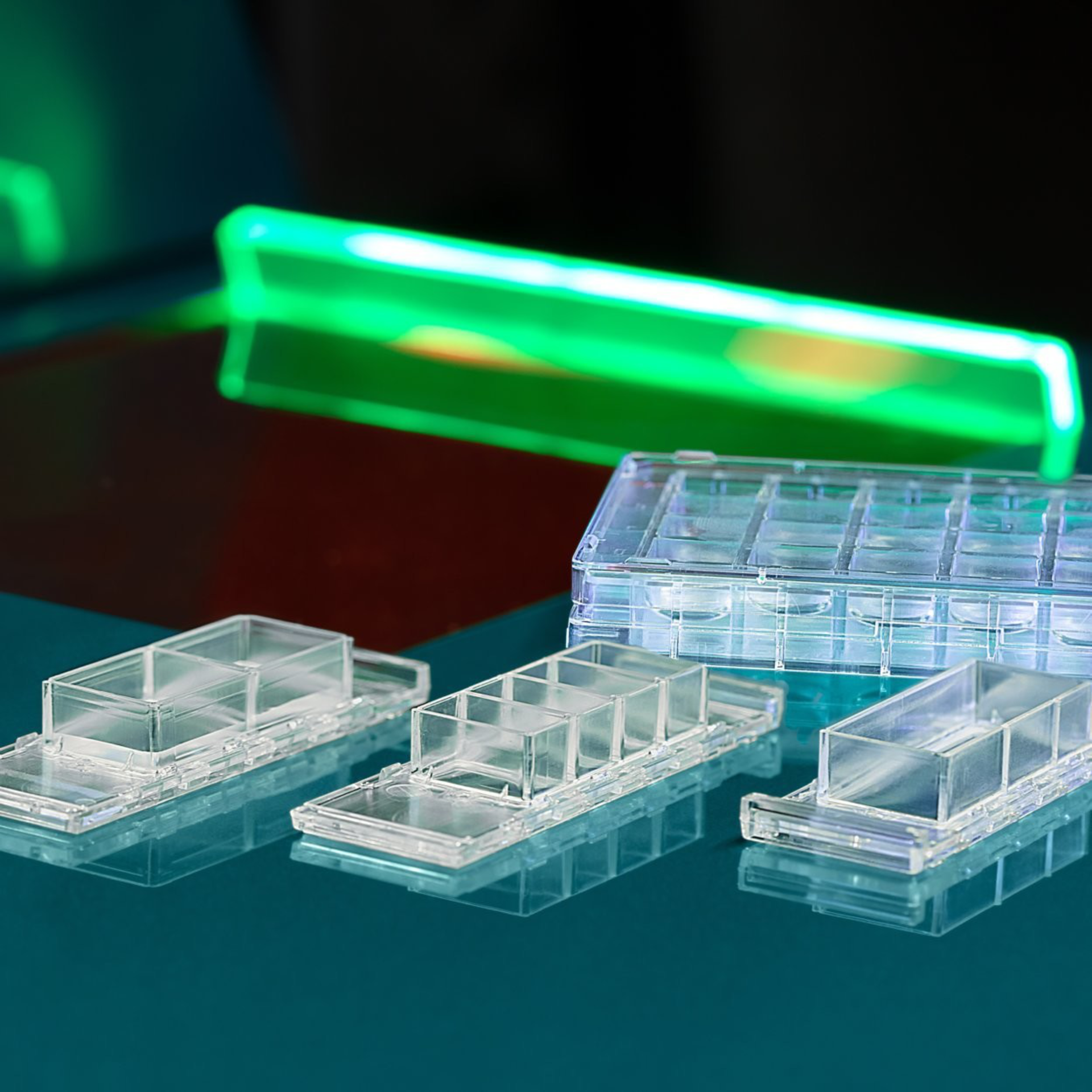 Spatial biology | MACSima™ Platform | Multiplex Imaging | Miltenyi ...