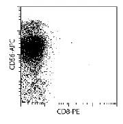 CD56+CD8+/CD8- NK Cell Isolation Kit, human | Miltenyi Biotec | 中国