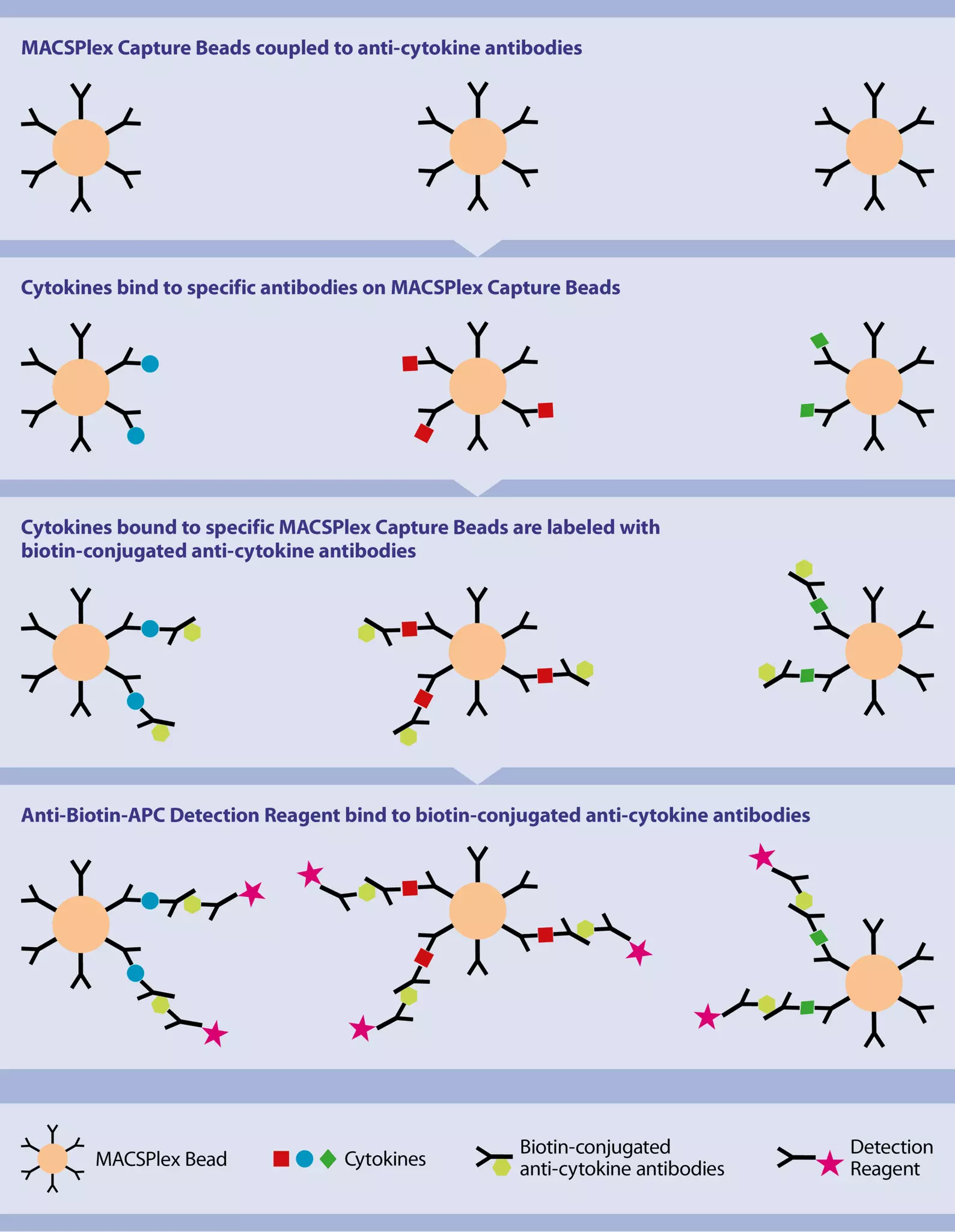 MACSPlex Cytokine Kits | Miltenyi Biotec | Deutschland