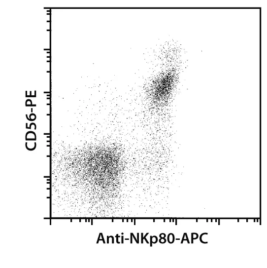 NKp80 Antibody, anti-human | Miltenyi Biotec | USA