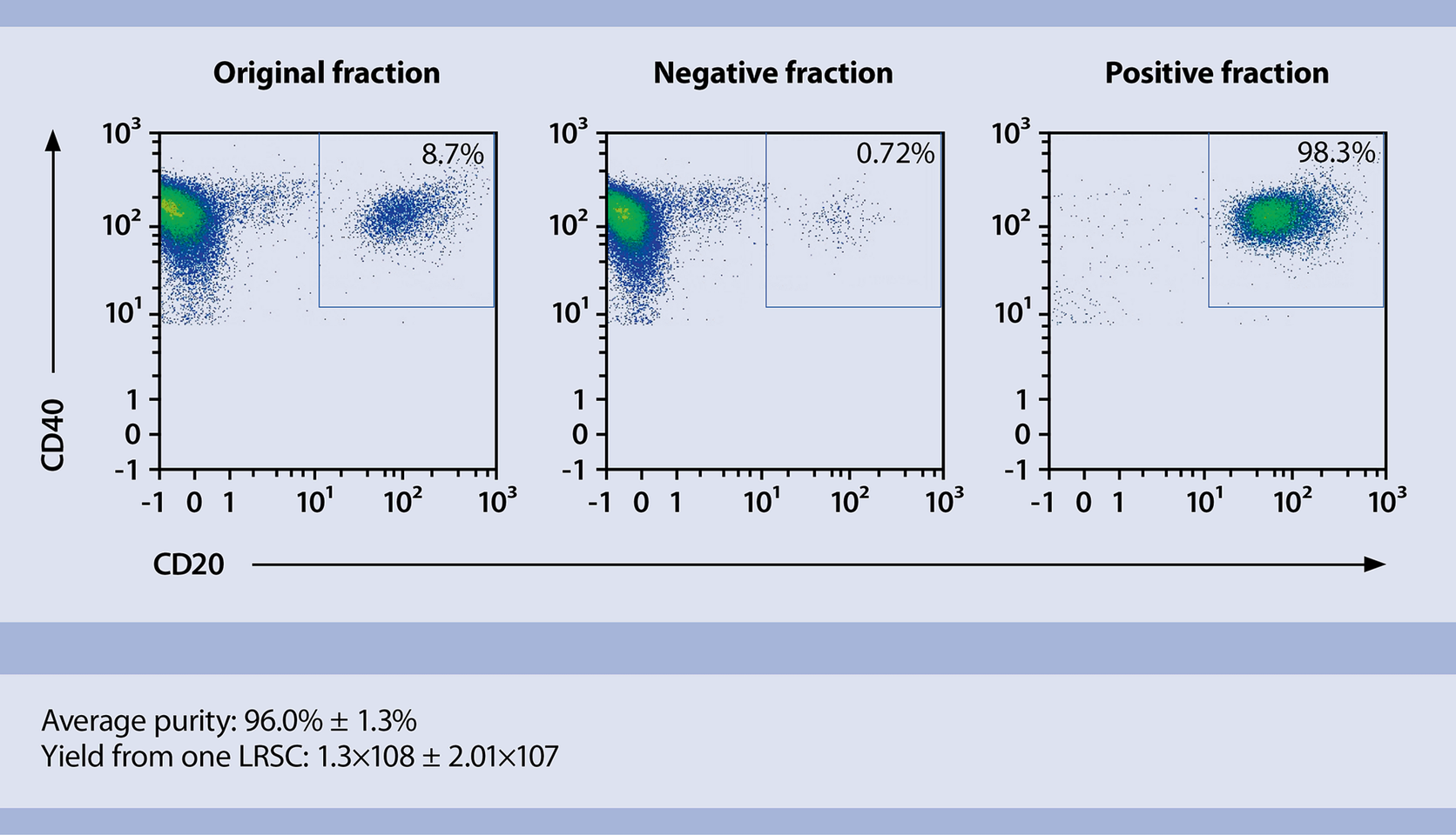 B cell separation | Isolation, expansion & analysis | Miltenyi ...