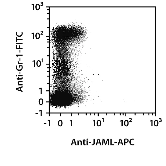 JAML Antibody, anti-mouse, REAfinity™ | Miltenyi Biotec | USA