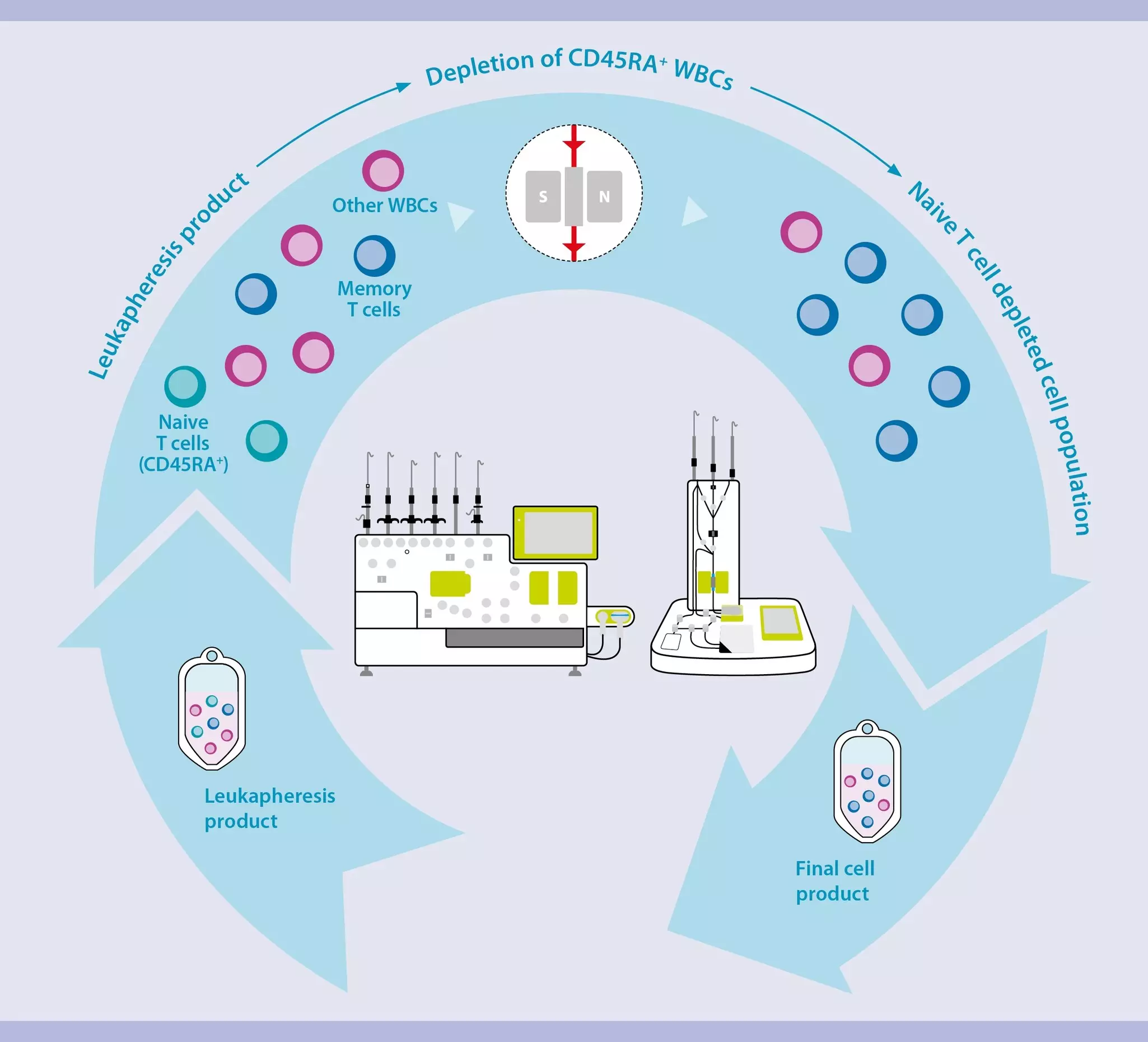 CD45RA+ cell depletion and memory T cell generation | Workflows ...