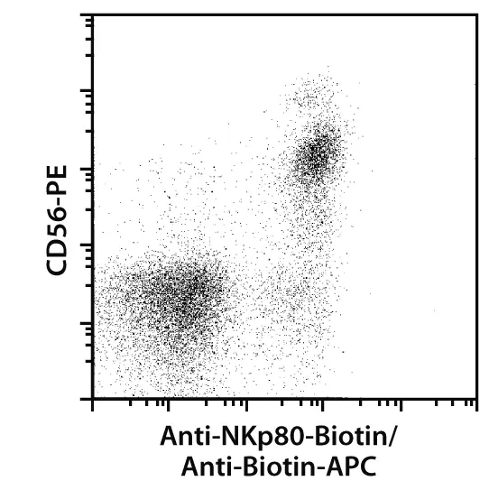 NKp80 Antibody, anti-human | Miltenyi Biotec | USA