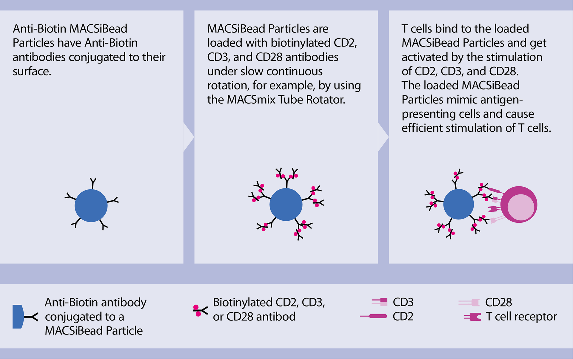 Cell culture | Miltenyi Biotec | Great Britain