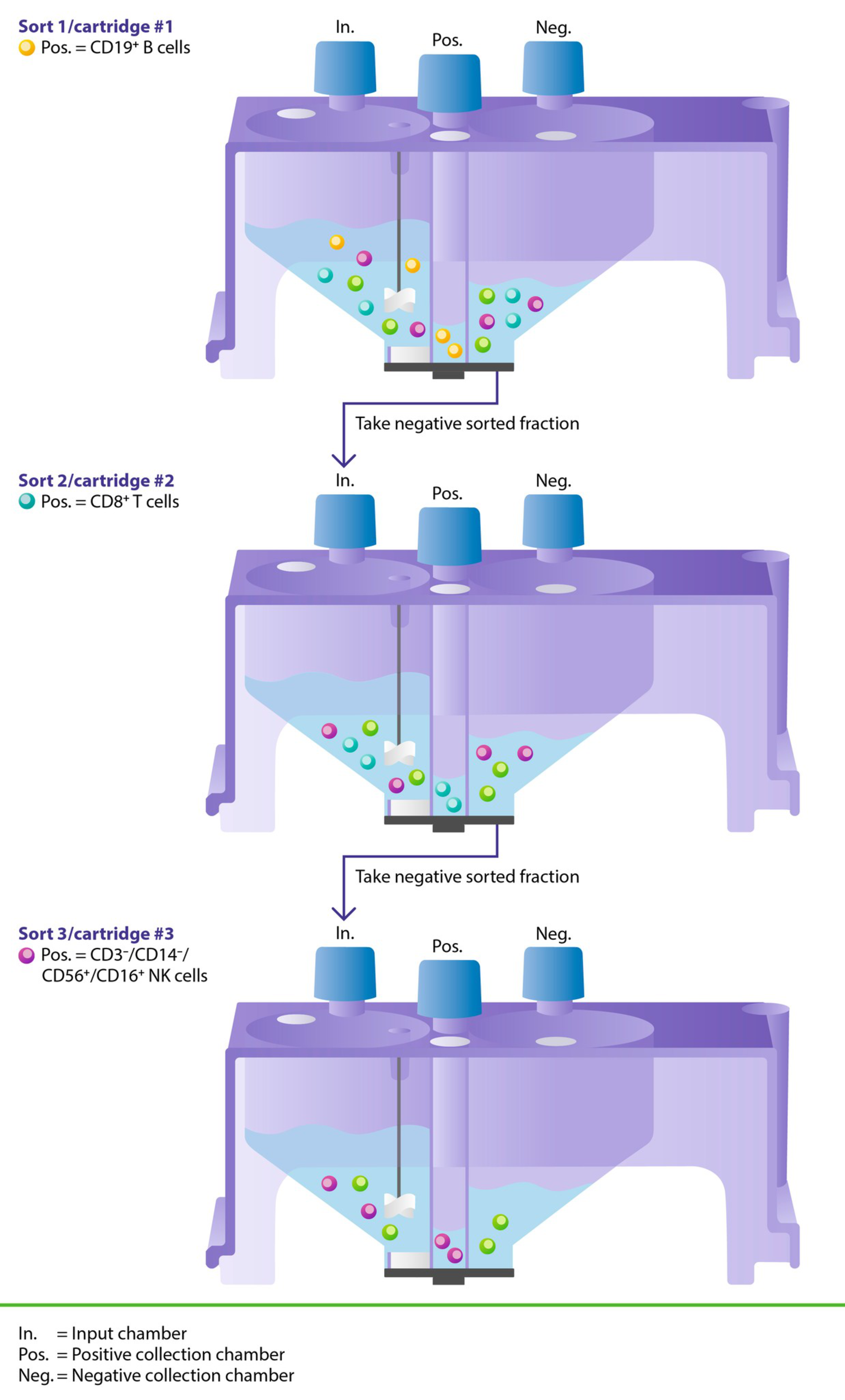 Immune cell sorting | MACSQuant Tyto | Miltenyi Biotec | 中国