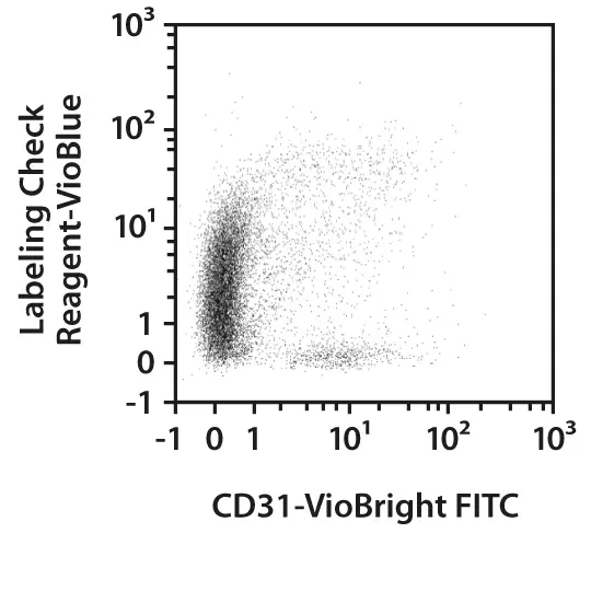 Lung Endothelial Cell Isolation Kit, rat | Miltenyi Biotec | 대한민국