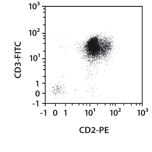 Pan T Cell Isolation Kit, human | Miltenyi Biotec | USA