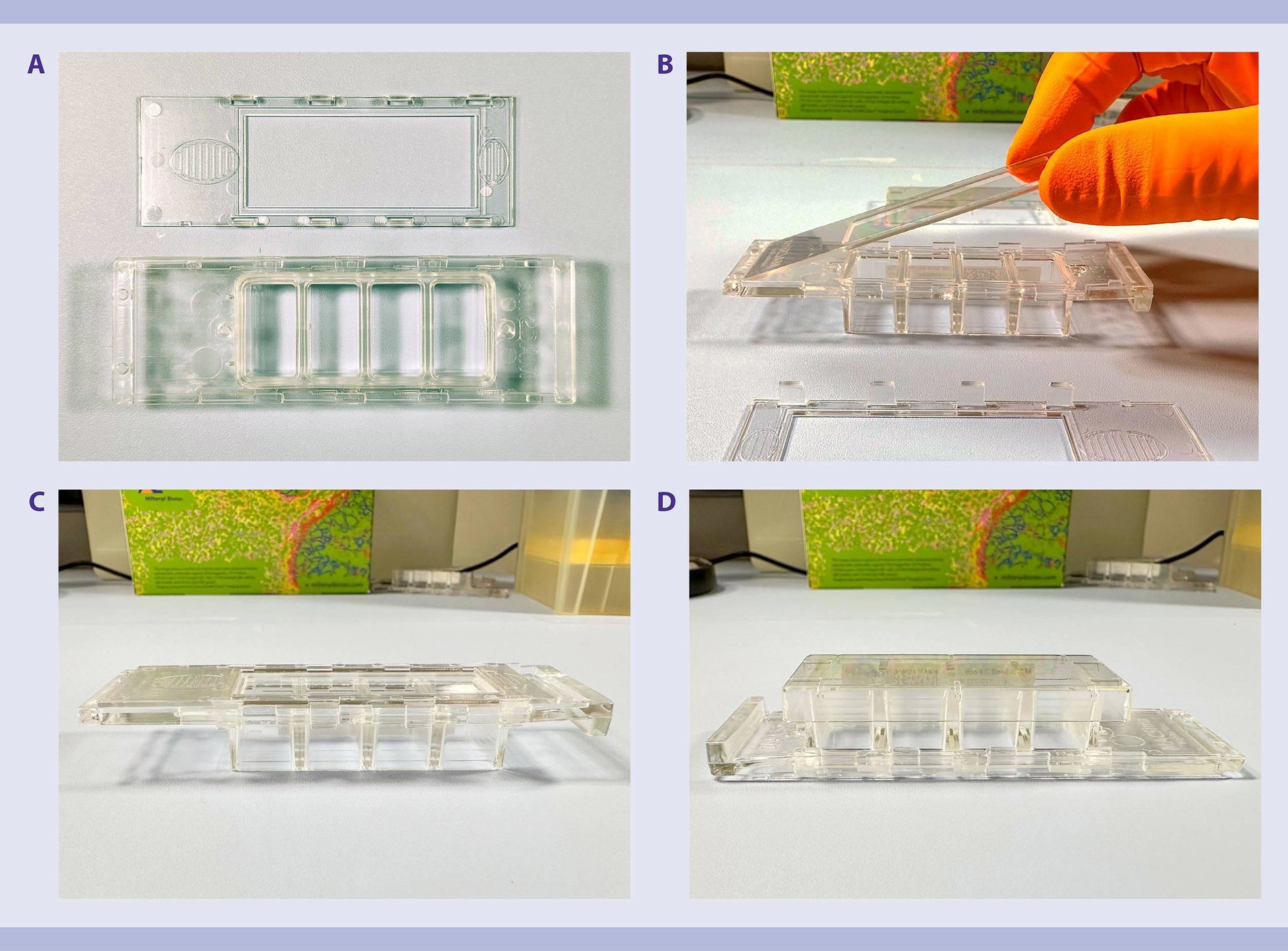 Spatial analysis | RNA transcripts and proteins | FFPE tissues ...