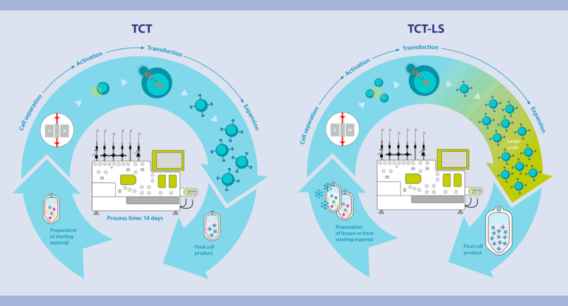 CAR T cell manufacturing | CAR T cell transduction | Miltenyi Biotec ...