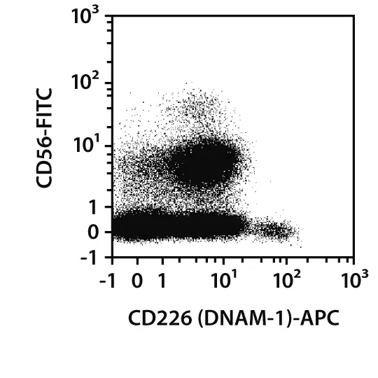 CD226 (DNAM-1) Antibody, anti-human, REAfinity™ | Miltenyi Biotec | USA