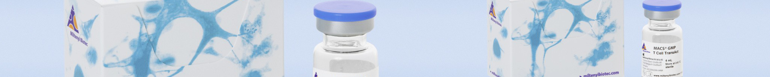 Polyclonal T cell activation | T cell expansion | MACS® GMP | Miltenyi ...