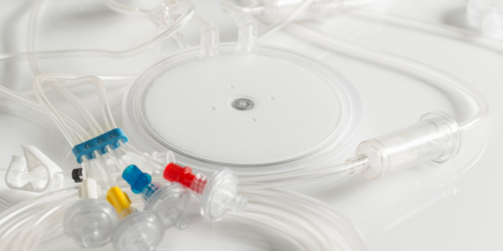 Reprogramming of human fibroblasts into induced pluripotent stem cells ...