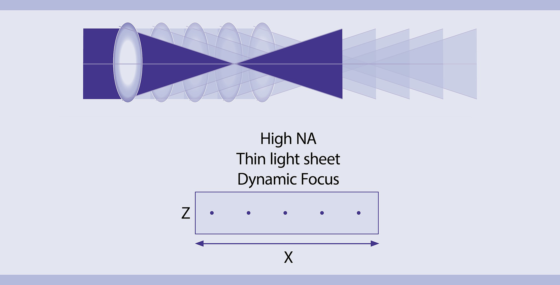 Light sheet microscopy | Miltenyi Biotec | USA